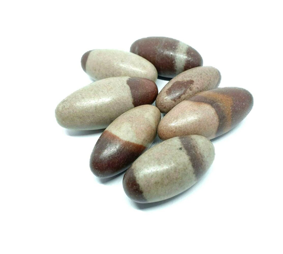 Narmada Lingam Shiva Lingham Shivling Rare River Stone Puja Temple upto ...