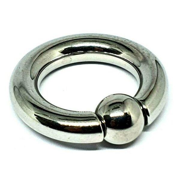 Body Piercing Rings for Men and Women: Prince Albert Jewelry - eclectic ...