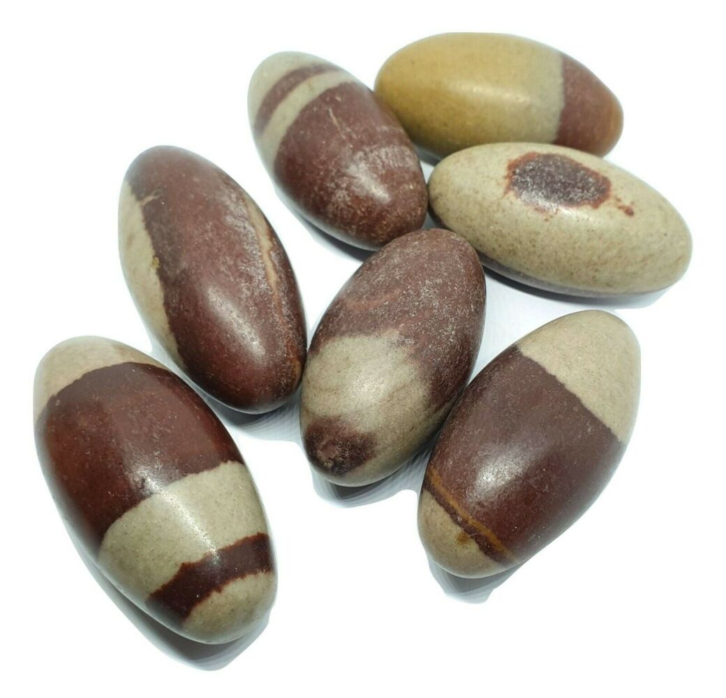 Shiva Lingam Lingham Rare River Stone Puja Temple up to 2.5" Narmada ...